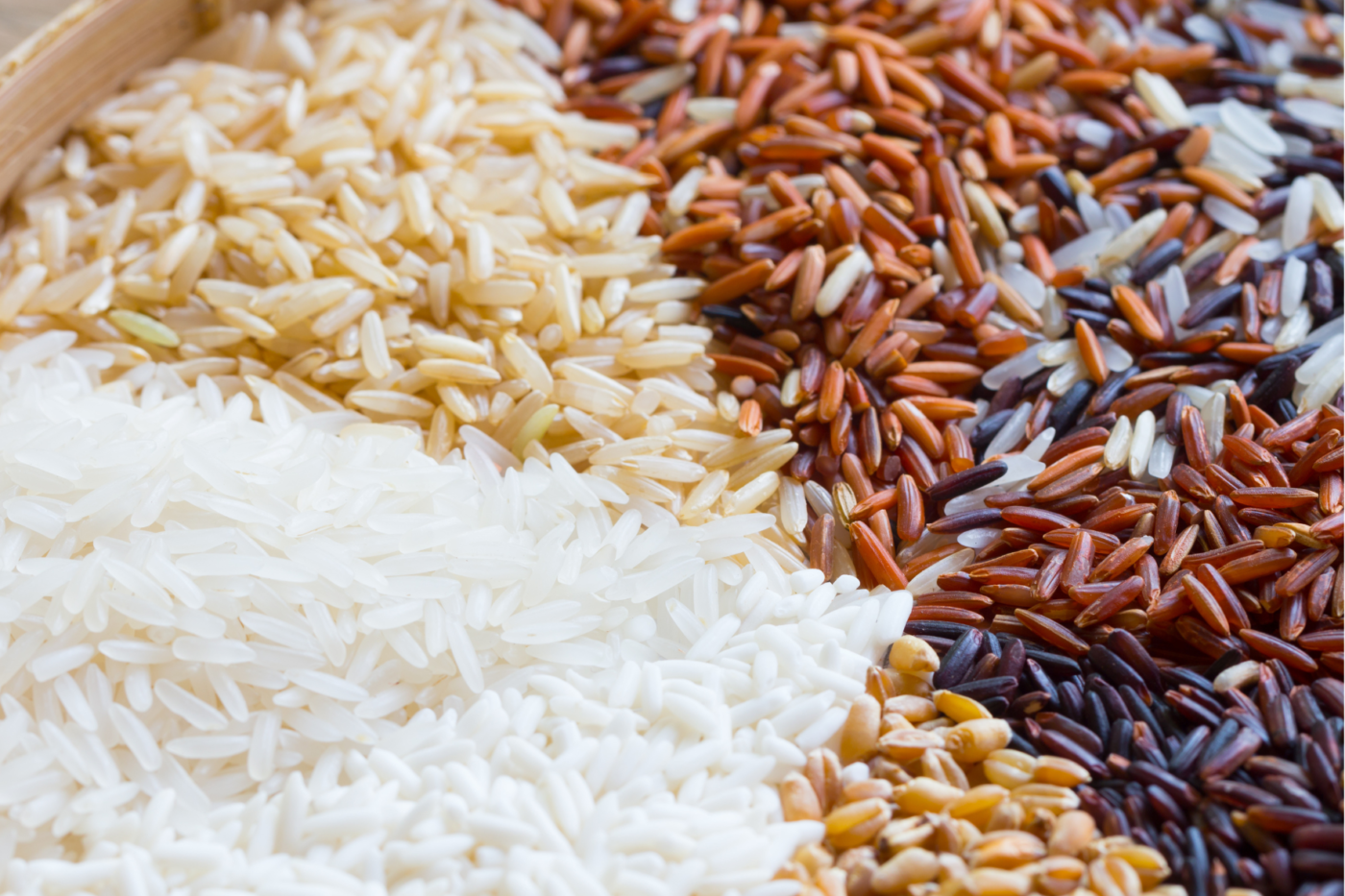 Recette : Riz sauvage