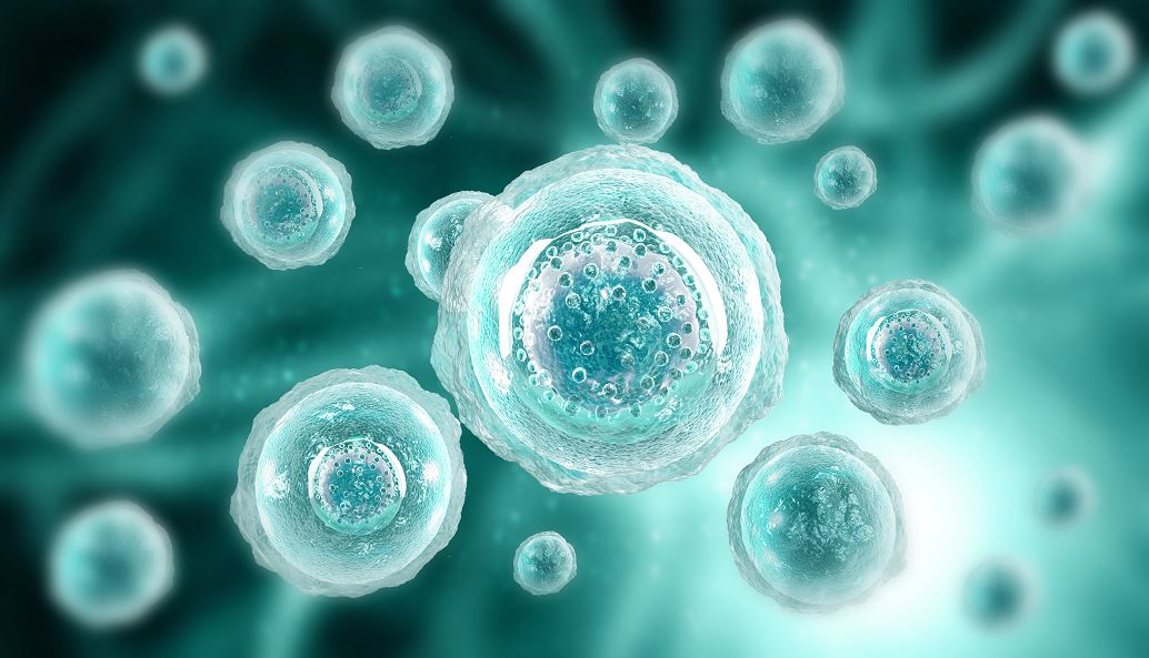 Immunophénotypage profond - chacune de vos cellules est aussi unique ...